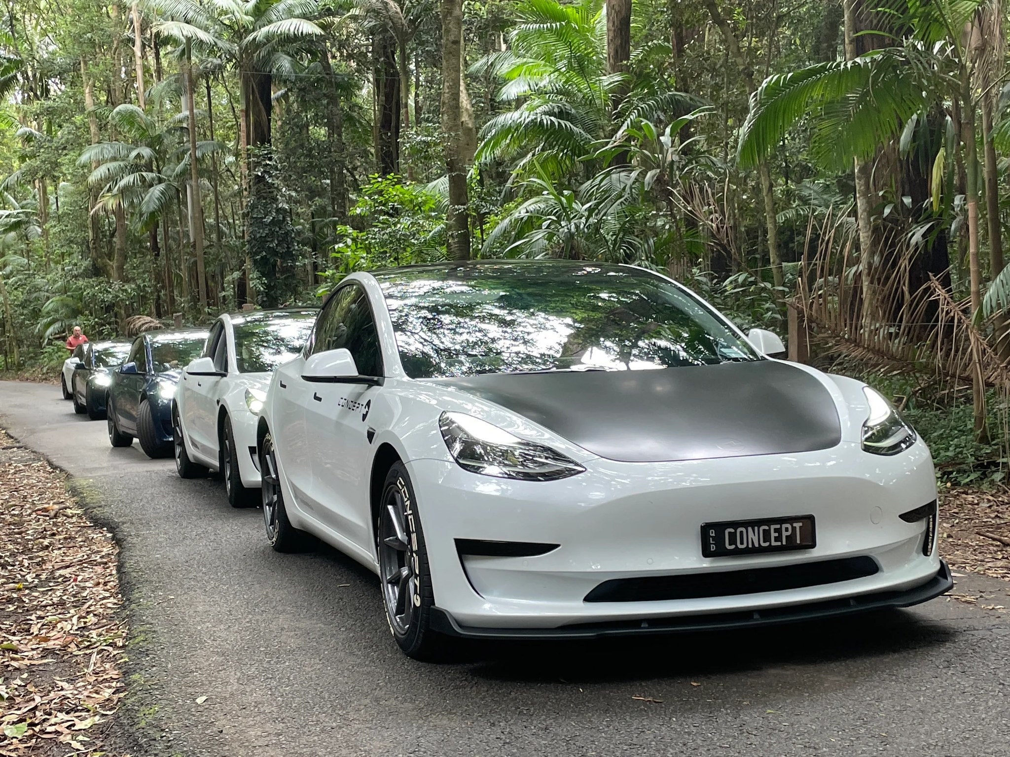 Tesla Cruise - Gold Coast Hinterland | Concept EV